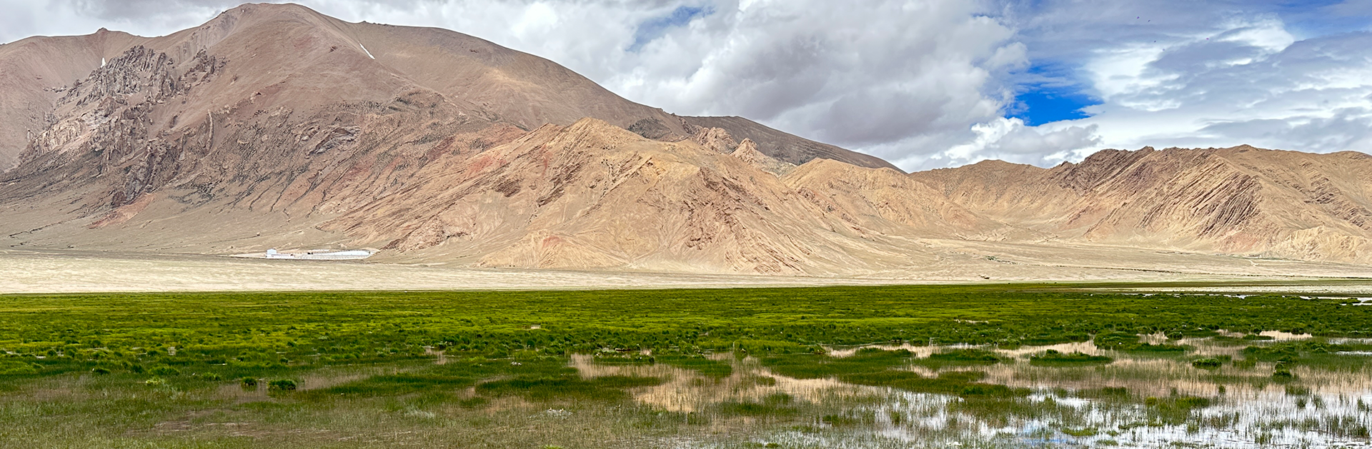 将论文写在高原上的“草种人生”——记2025年四川省先进工作者周青平-草地资源学院-西南民族大学